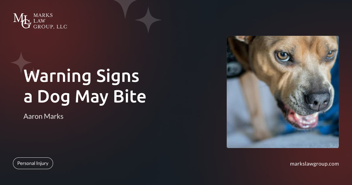 Warning Signs a Dog May Bite | Know Aggressive Behavior